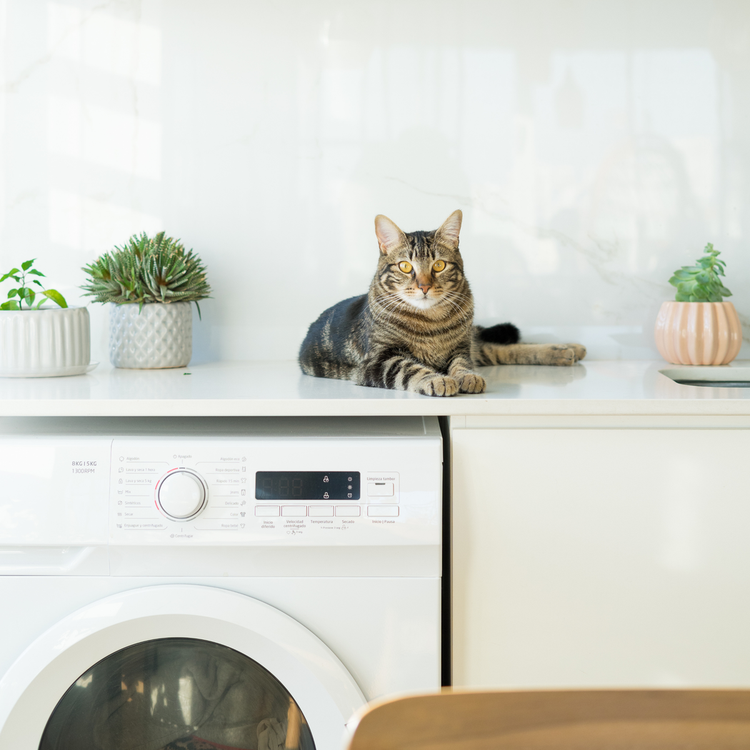 Chic Washable Yoga Mats That Double As Home Decor - MARA BODY Canada